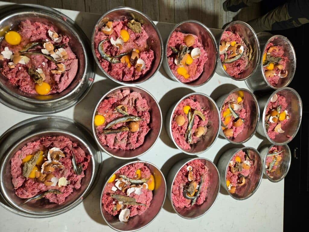Dieta BARF para Cães: Definição, História, Vantagens e Riscos - Dog Eco ...